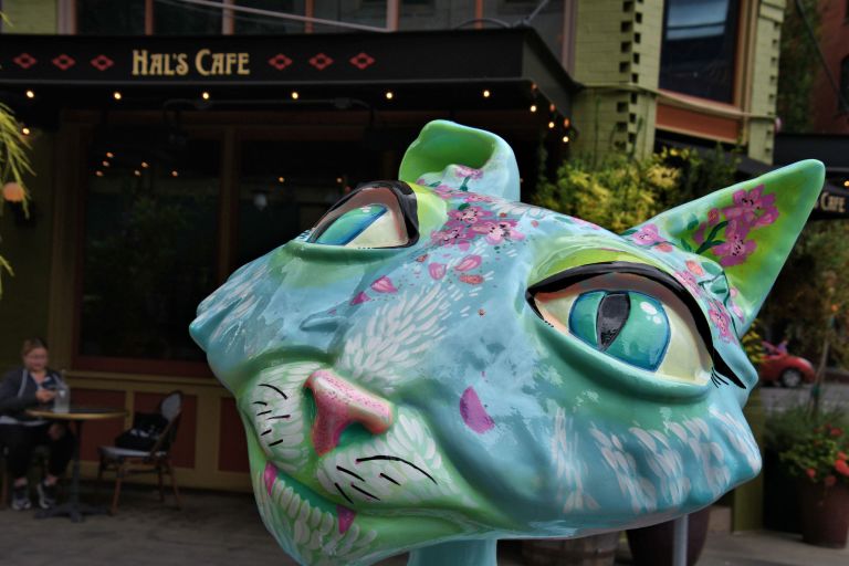 31 Cats plus one – Conscious Engagement