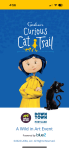 31 Cats plus one – Conscious Engagement